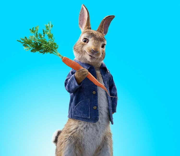 Consejos para tener una alimentación sana y sostenible